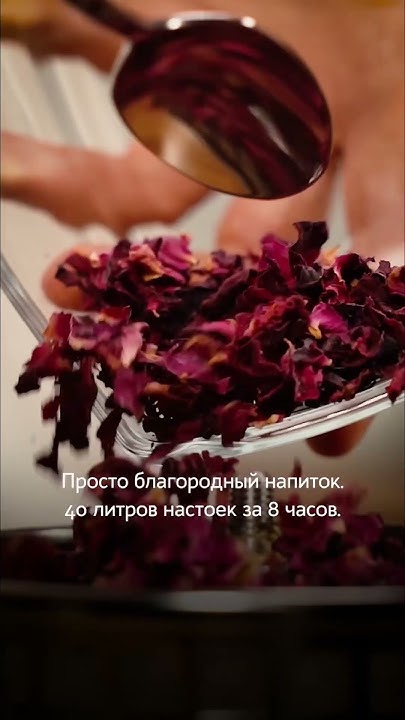 Приготовление колдбрю кофе, чая, концентратов, настоек в одном ...