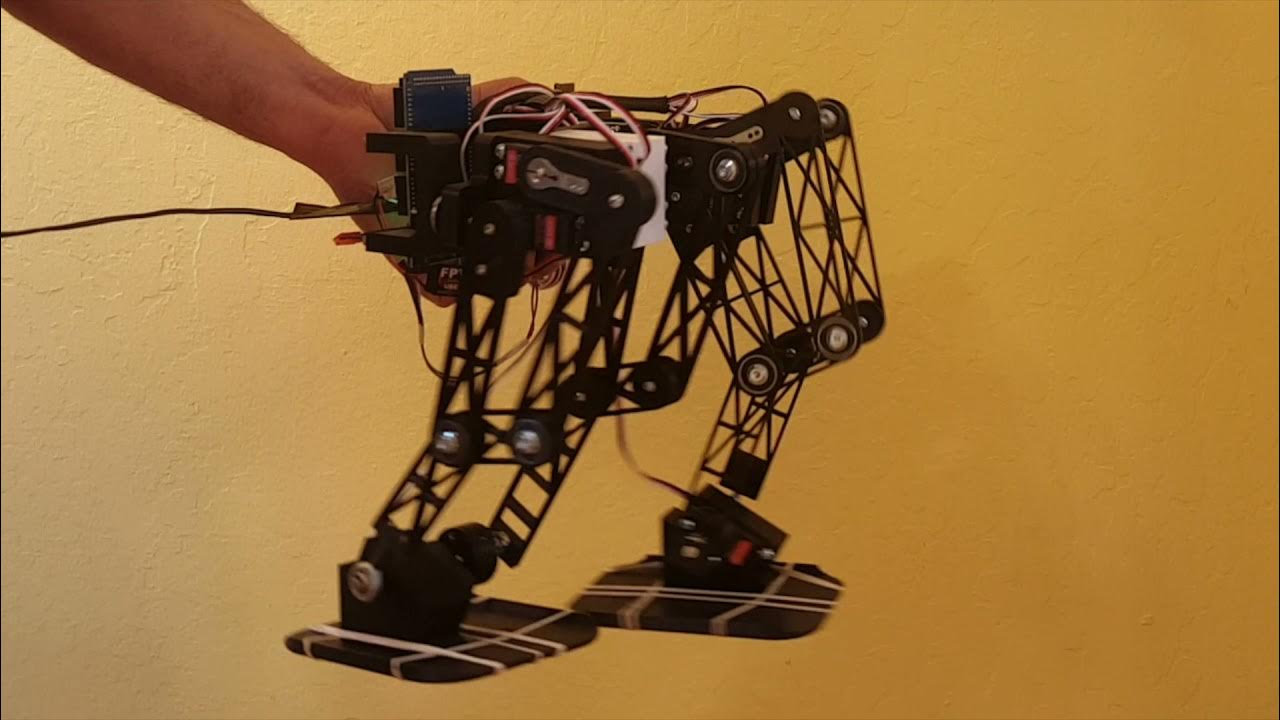 Hybrid leg for Bipedal Robot - YouTube