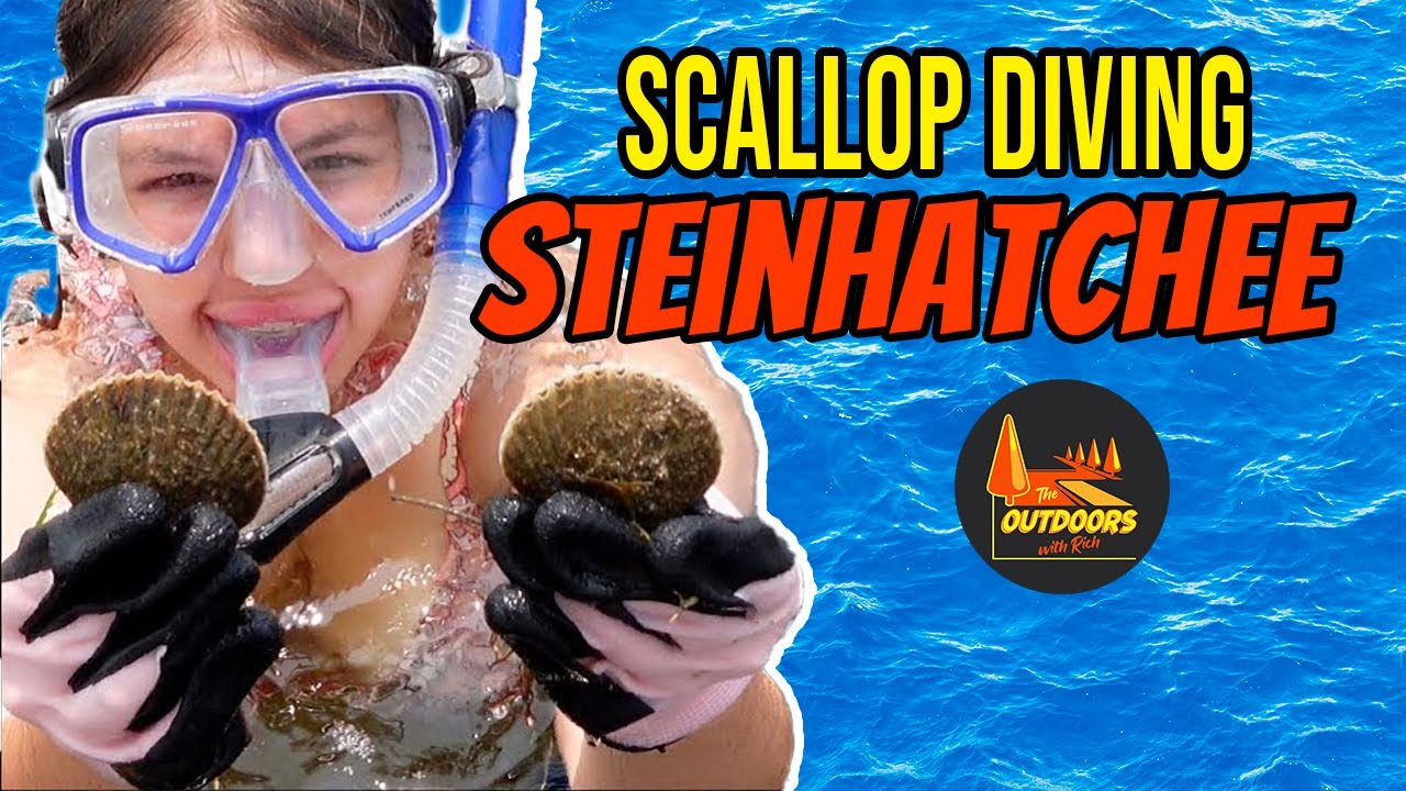 THIS is Where You SHOULD Be Scallop Diving - YouTube