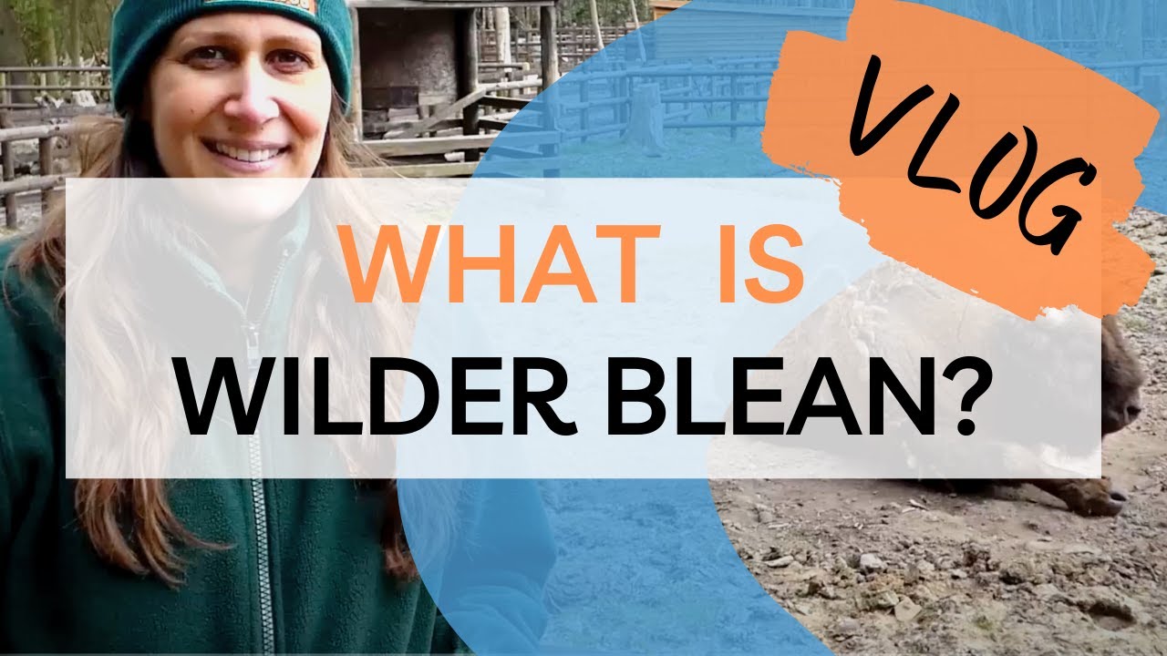EP#5 - VLOG What Is 'Wilder Blean'? | The Wilder Blean Diaries 🦋 - YouTube