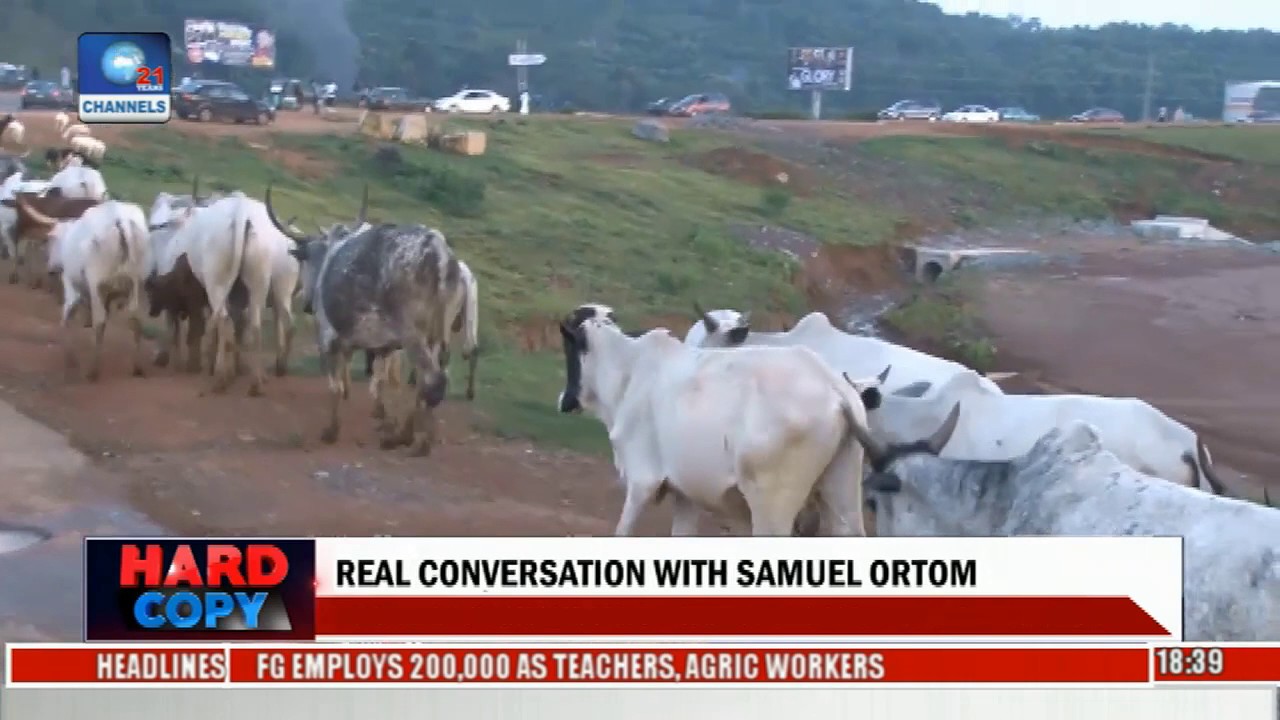 Hard Copy: Anyone Rustling Cattle Is A Criminal - Gov. Ortom - YouTube