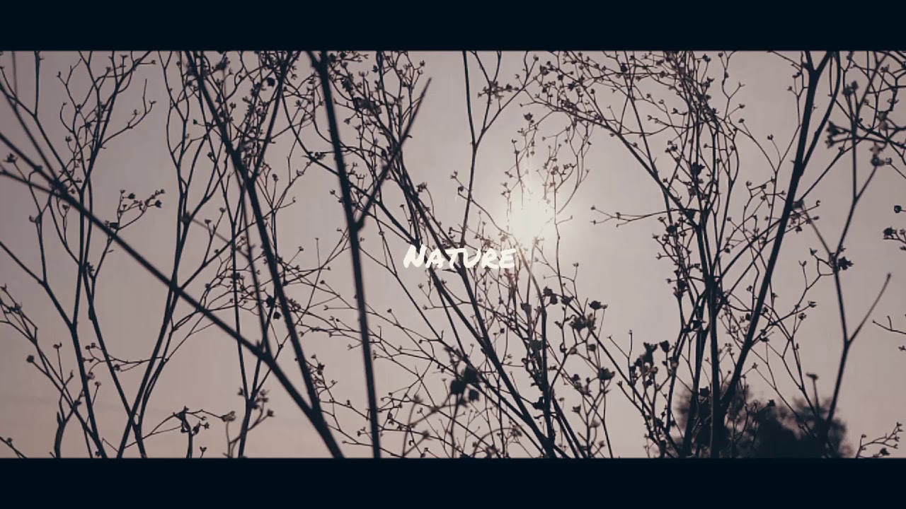 Nature cinematic shots full video - YouTube