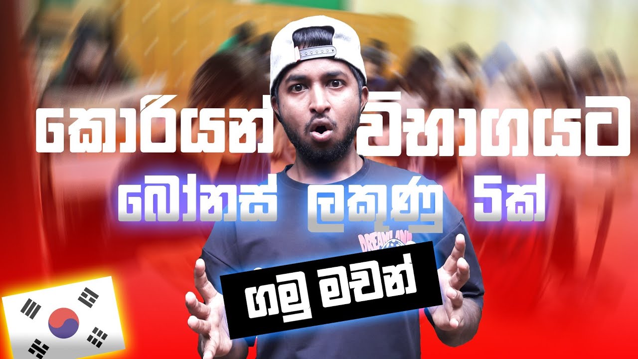 Korean Exam Competency Test | නිපුණතා පරීක්ෂණයට මේ සහතික දුන්නොත් ඔයාට ...