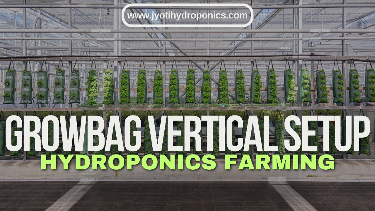 Growbag Vertical Style Farming of Strawberry (Jyoti Hydroponics Farm ...