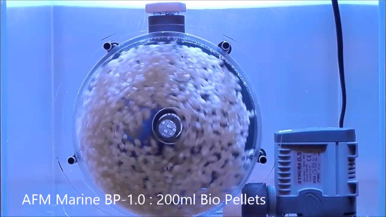 AFM Marine BP 1 0 Bio Pellet Reactor - YouTube