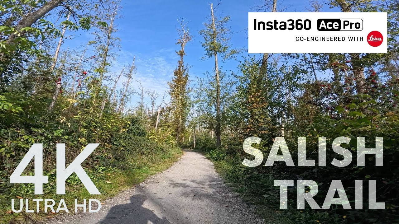 Exploring Vancouver’s Salish Trail: Gravel Bike Ride Through Forested ...