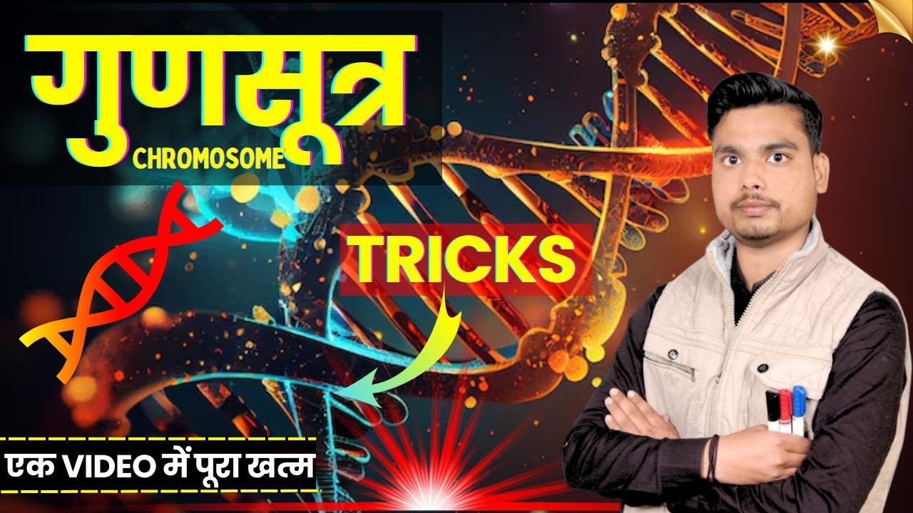 chromosome | gunsutra | chromosome structure and function | gunsutra ki ...