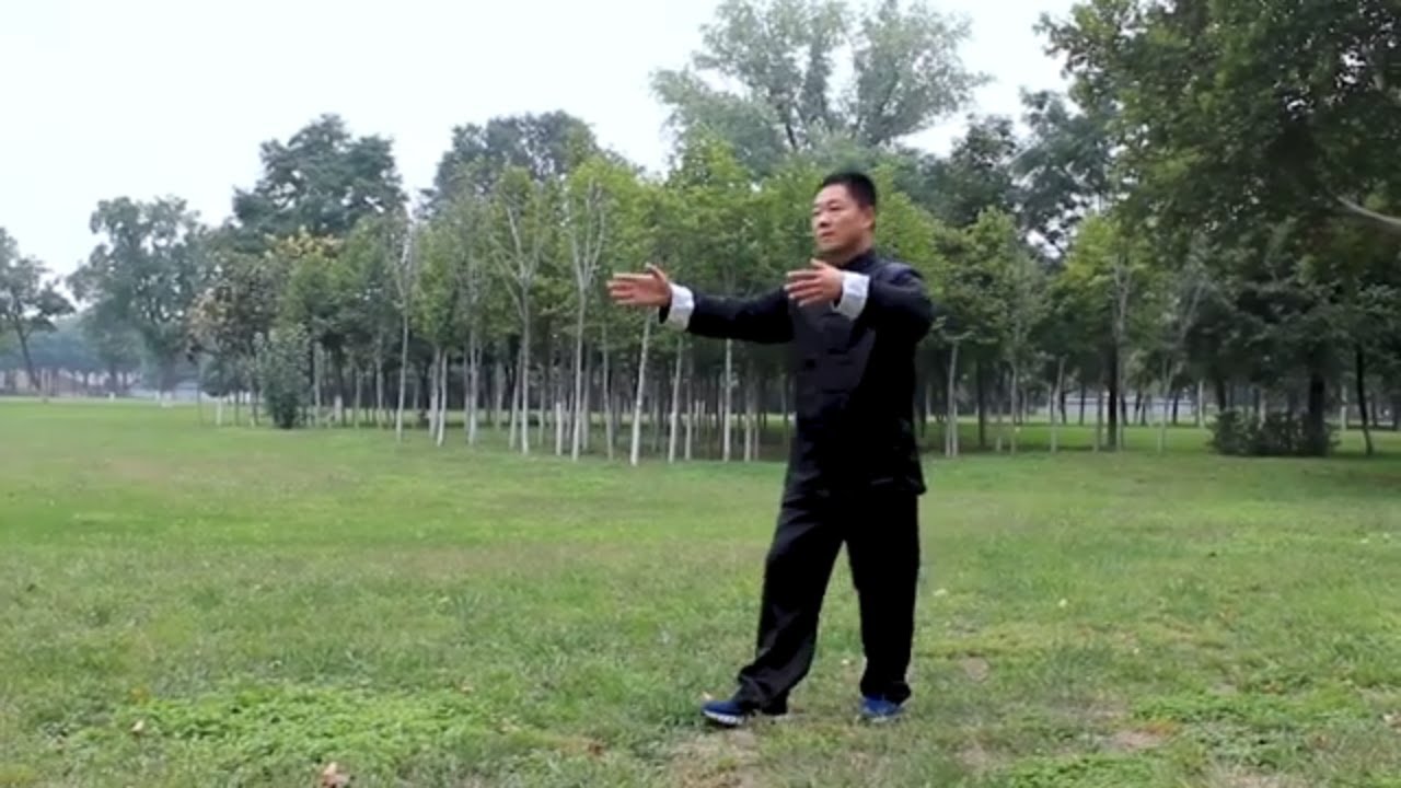 Master's Demonstration: Yiquan Transformed Yao-Xuan Shili(Force-testing ...