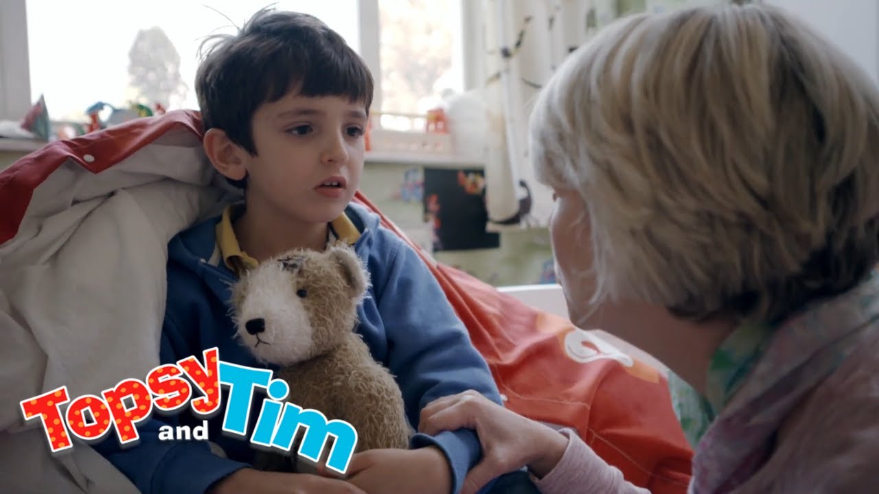 Family tree | Topsy & Tim | Live Action Videos for Kids | WildBrain ...