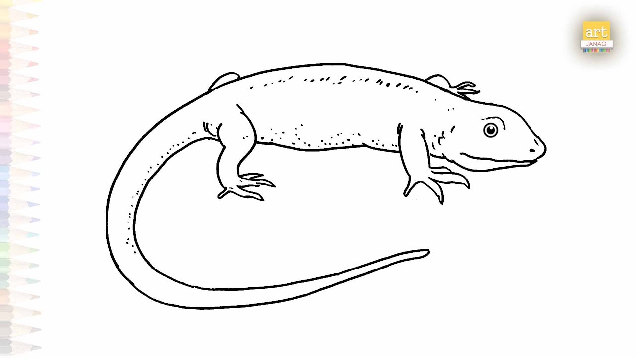 Salamander drawing easy | Art tutorial | How to draw A Salamander step ...