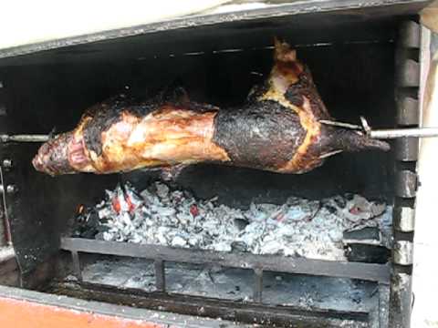 POPAS PRIVIGHETOAREA - Miel la protap - YouTube