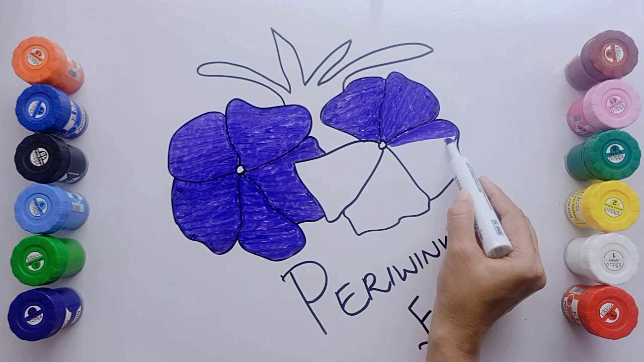 How to draw periwinkle flower |Easy flower drawing for children |Easy ...