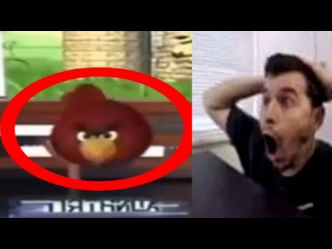 angry birds jumpscare