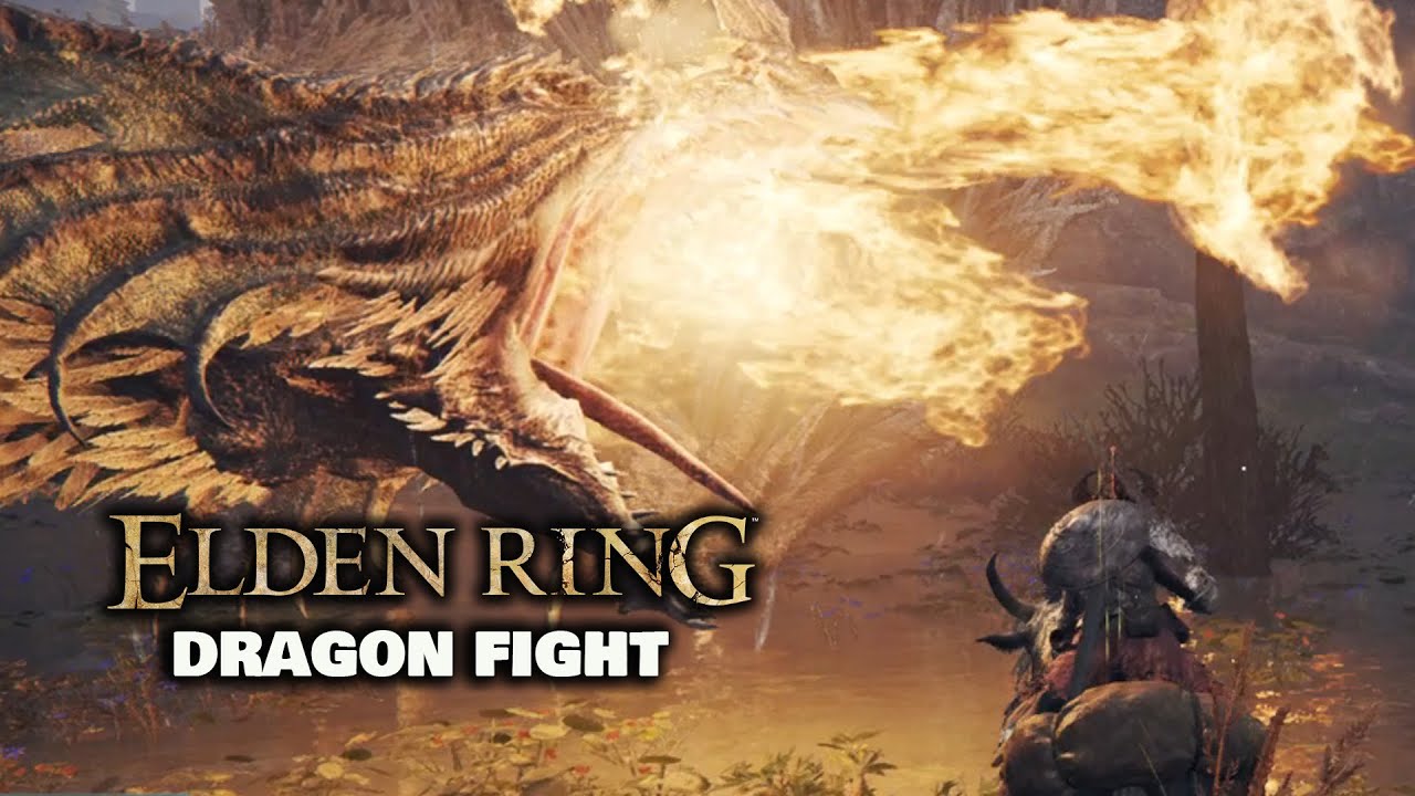 FLYING DRAGON AGHEEL FIGHT - ELDEN RING(Network Test) - YouTube