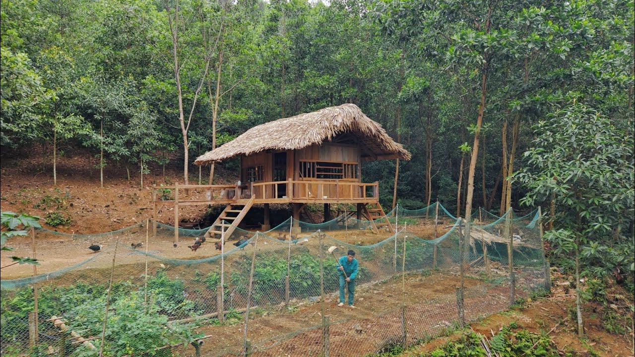Sowing seeds for a new crop, plum tree has bloomed, building life, farm ...