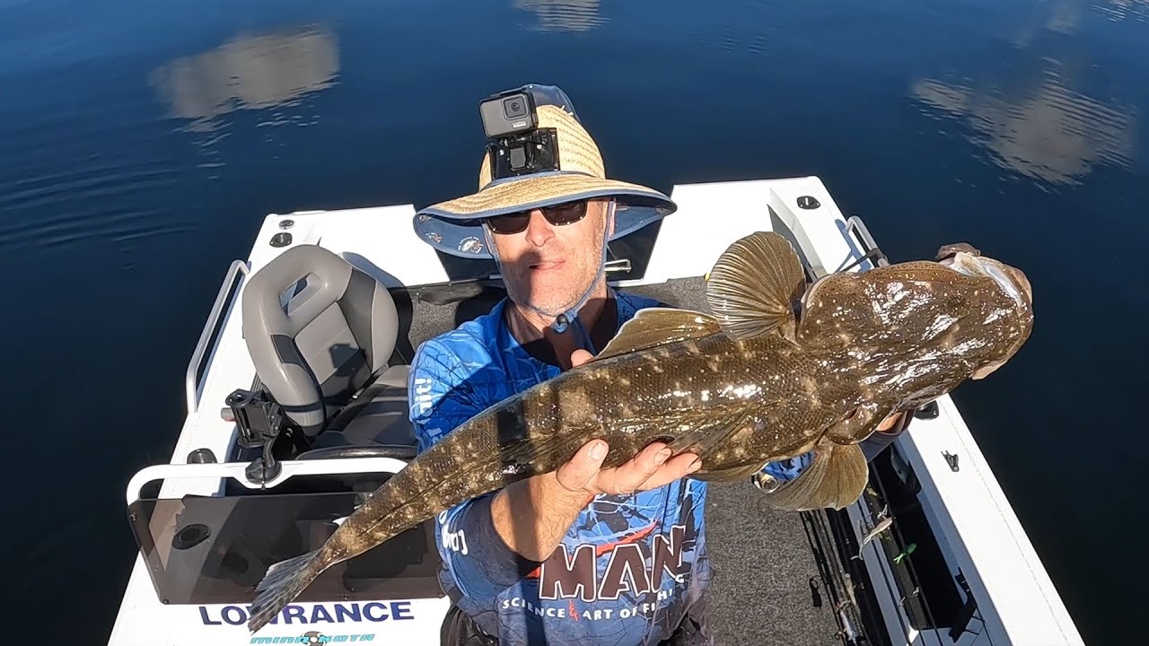 Fishing for Big Flathead + Tailor + Jewfish Lake Macquarie - YouTube