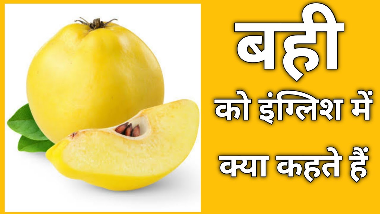 Bahi in English | Bahi ko english me kya kahte hain - YouTube