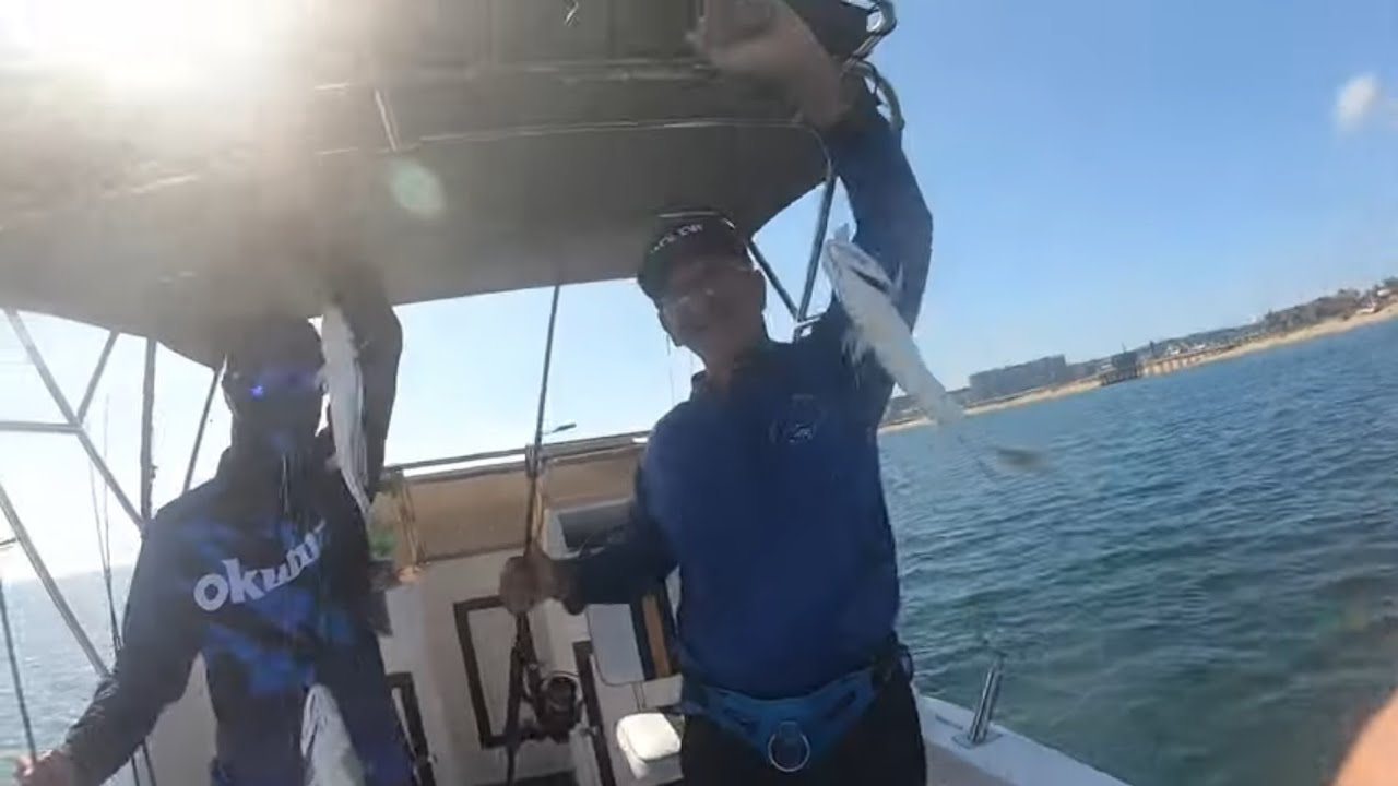 Snapper Kob Fishing - Durban Backline - YouTube