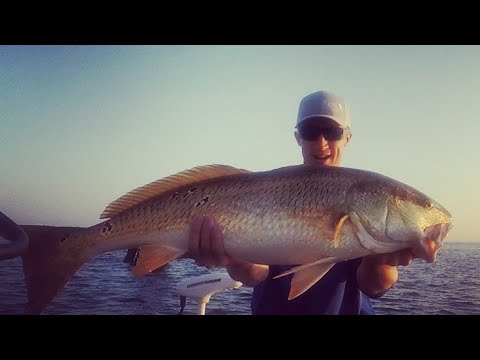 Saltwater fishing in a Bass Boat!- Pensacola, FL (REDFISH MANIA) - YouTube