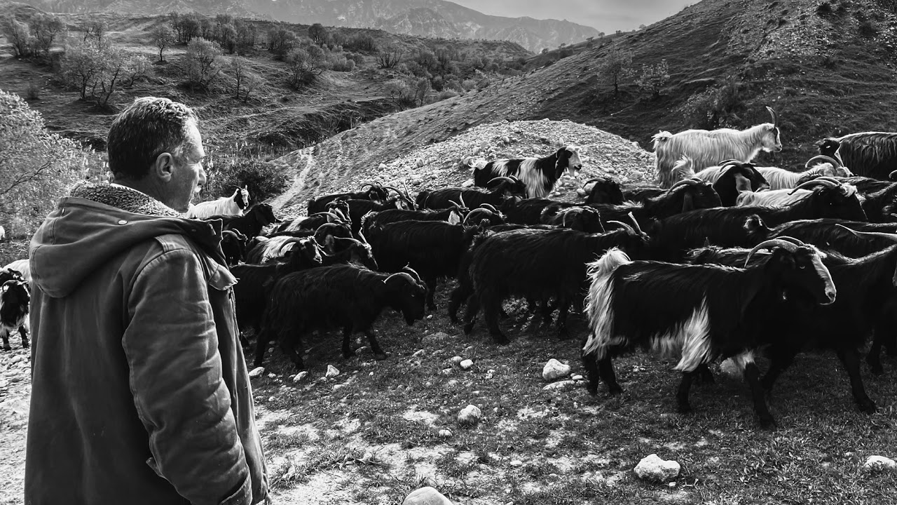 Old mosque in Bakarma complex in Zakho - YouTube