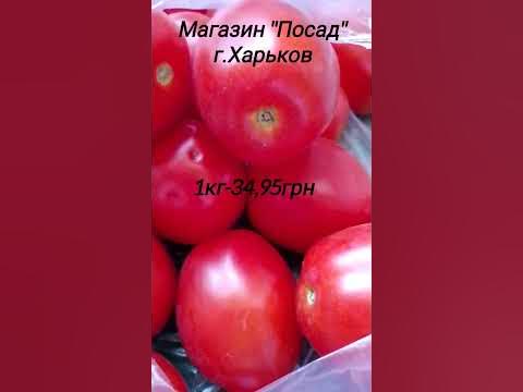 Цена на помидоры #помидоры #ценынапродукты #ценывукраине # ...