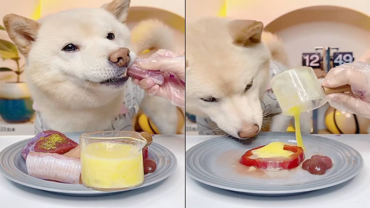 Food ASMR Video | Dog Eat Fruit | Oddly Satisfying Video | #dogs #dog # ...
