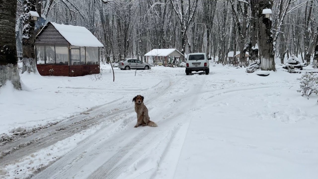 Part 5 - A Snowy Adventure Trip from Baku to Gabala - A Stop at Honey ...