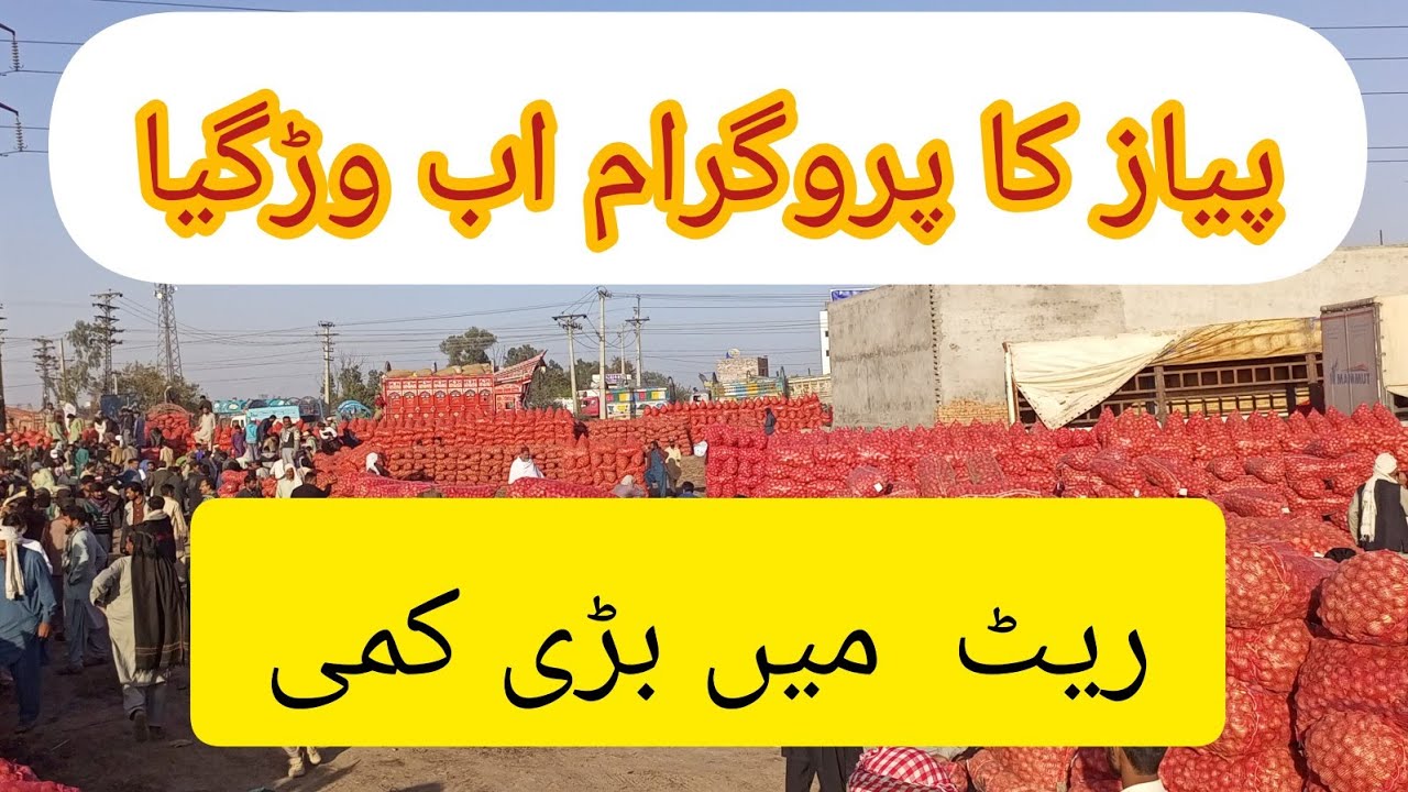 Gujranwala sabzi Mandi onion Ka Program Warr Gia Itna Sasta Ho Gia ...