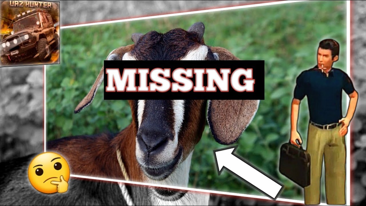INVESTIGATION OF MISSING GOAT - YouTube