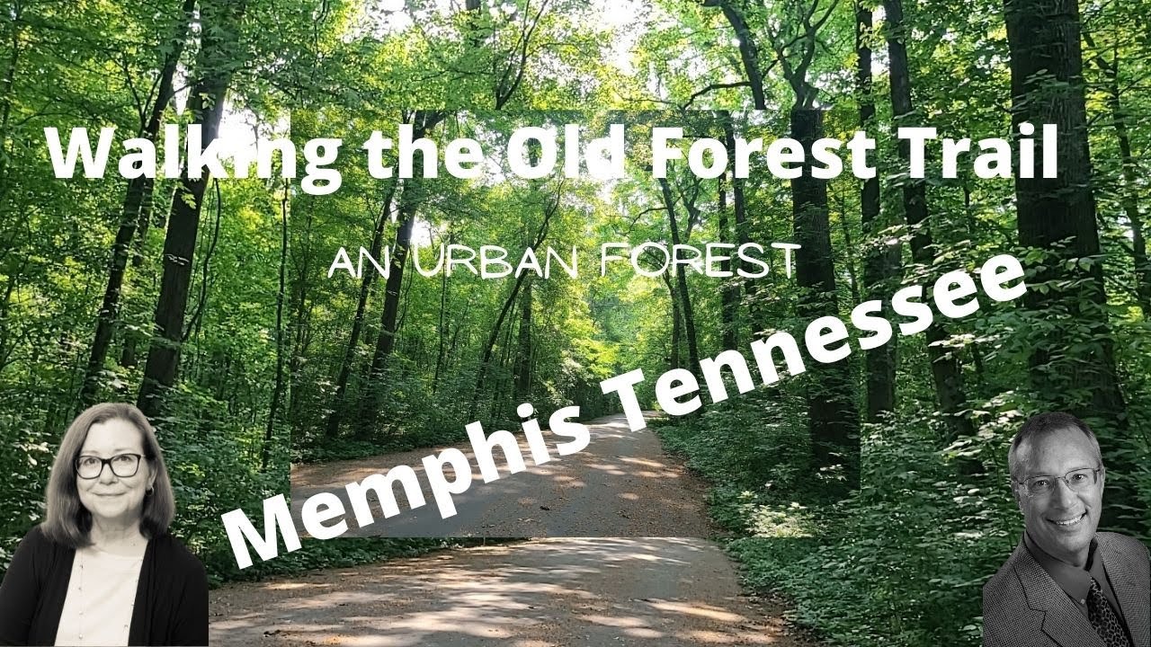 Memphis Midtown Overton Park Old Forest Trail - YouTube