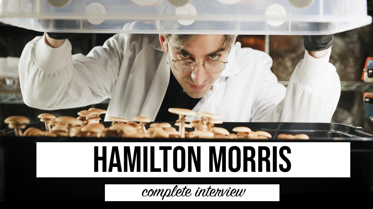 Psychedelics, Drugs, Vice News, and Journalistic Integrity | COMPLETE ...