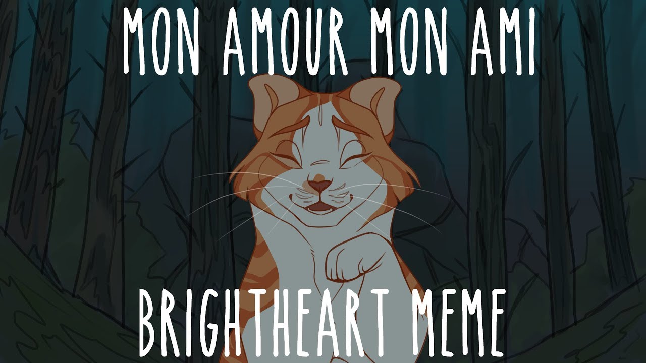 Mon Amour Mon Ami meme - YouTube