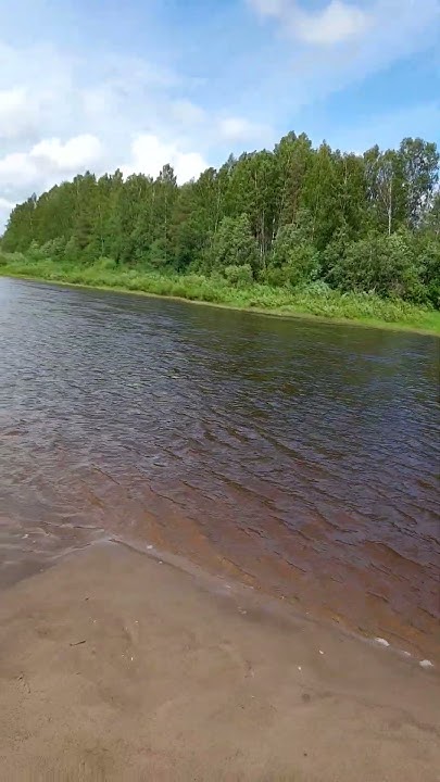 Кичменгский Городок, пески д.Олюшино - YouTube