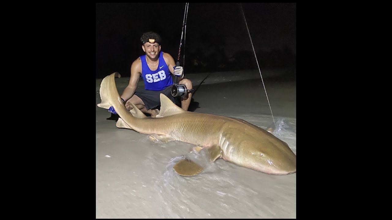 BEST SHARK RIG FOR SURF FISHING - YouTube