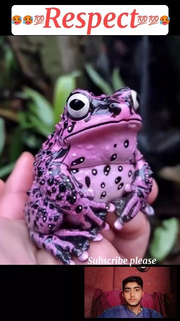 Respect 🔥😍#viralvideo #amazing frog #status #respect #shorts - YouTube