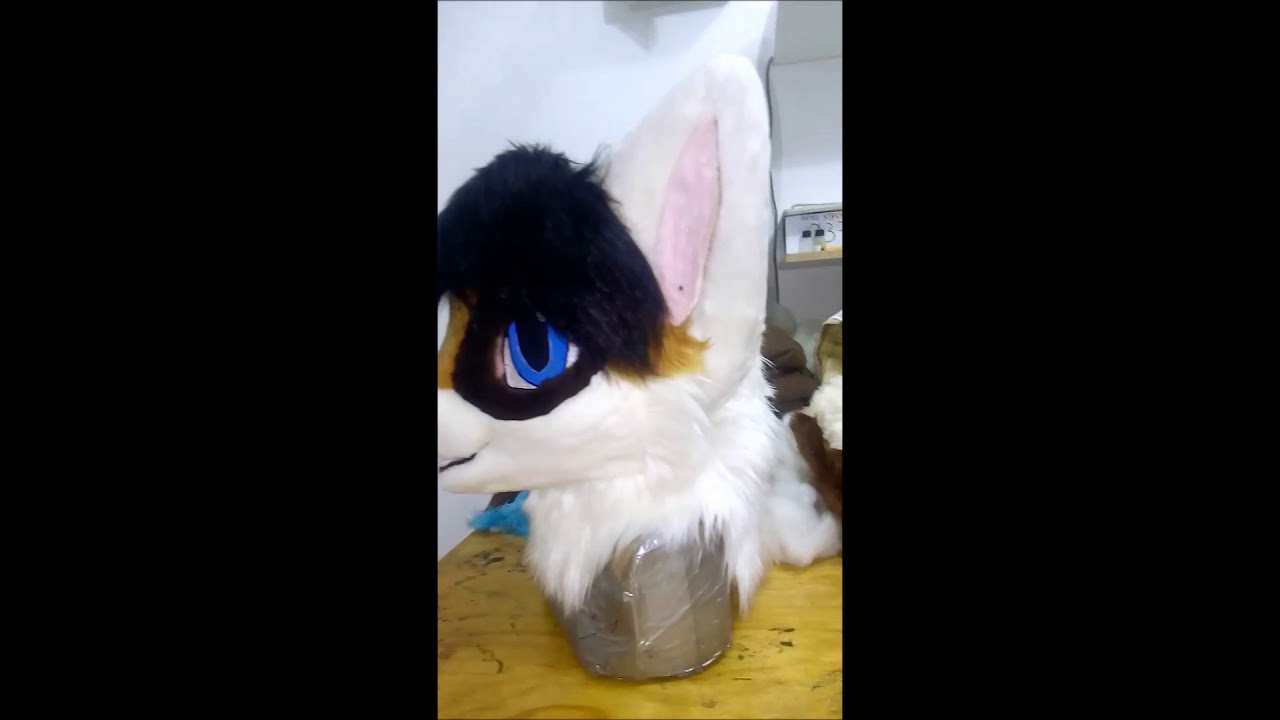 Kemono style Fox for auction - YouTube