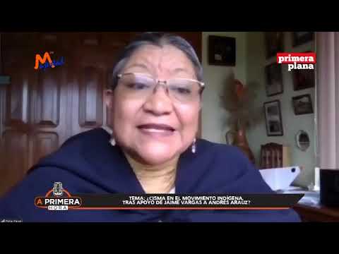 NINA PACARI, EX DIRIGENE DE LA CONAIE POSTURA MOVIMIENTO INDÍGENA ...