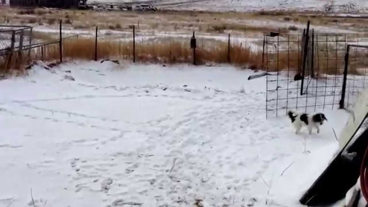 I saw the rake Real footage - YouTube