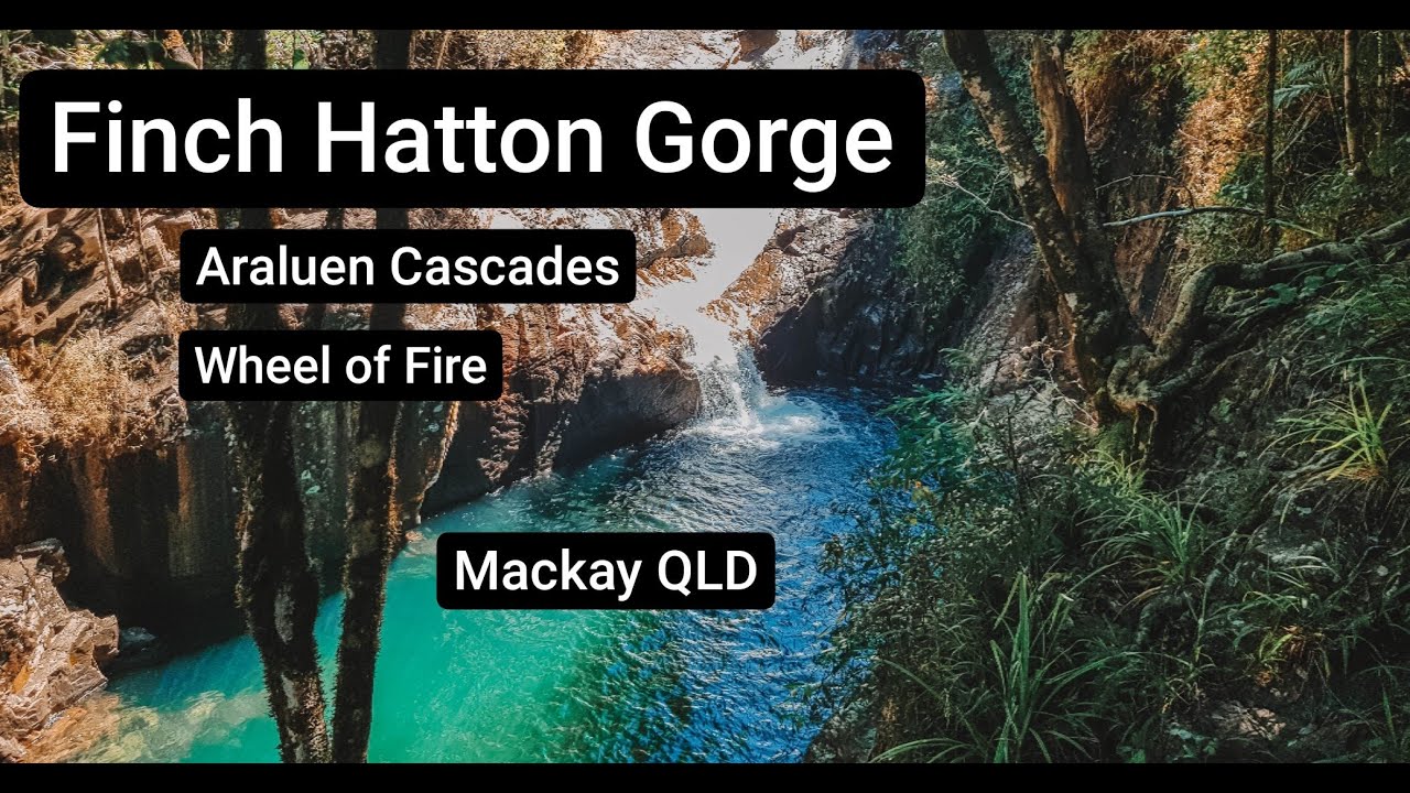 FINCH HATTON GORGE | Qld Road Trip EP02 | Araluen Cascades & Wheel of ...