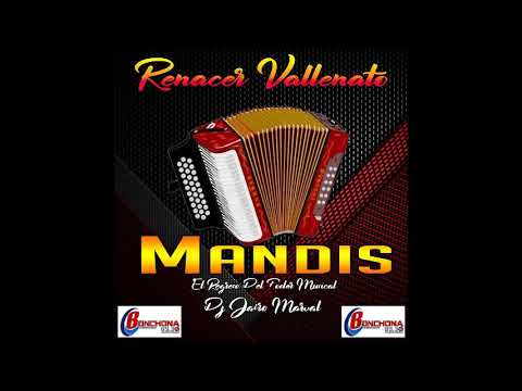 RENACER VALLENATA MSNDIS - YouTube