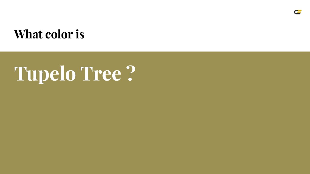 Tupelo Tree color #9c9152 hex color - Brown color - Cool color 9c9152 ...