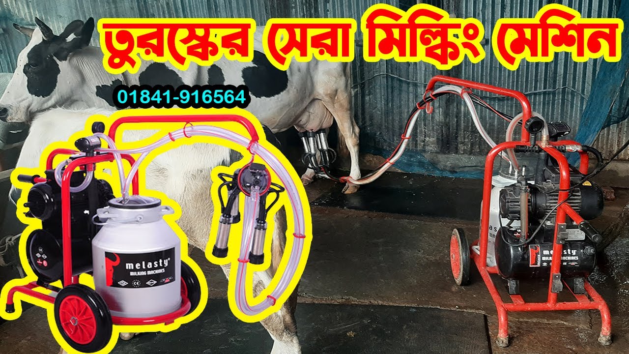 দুধ দোয়ানো মেশিন। তুরষ্ক থেকে আগত। Cow Milk Sucking Machine। Turkey