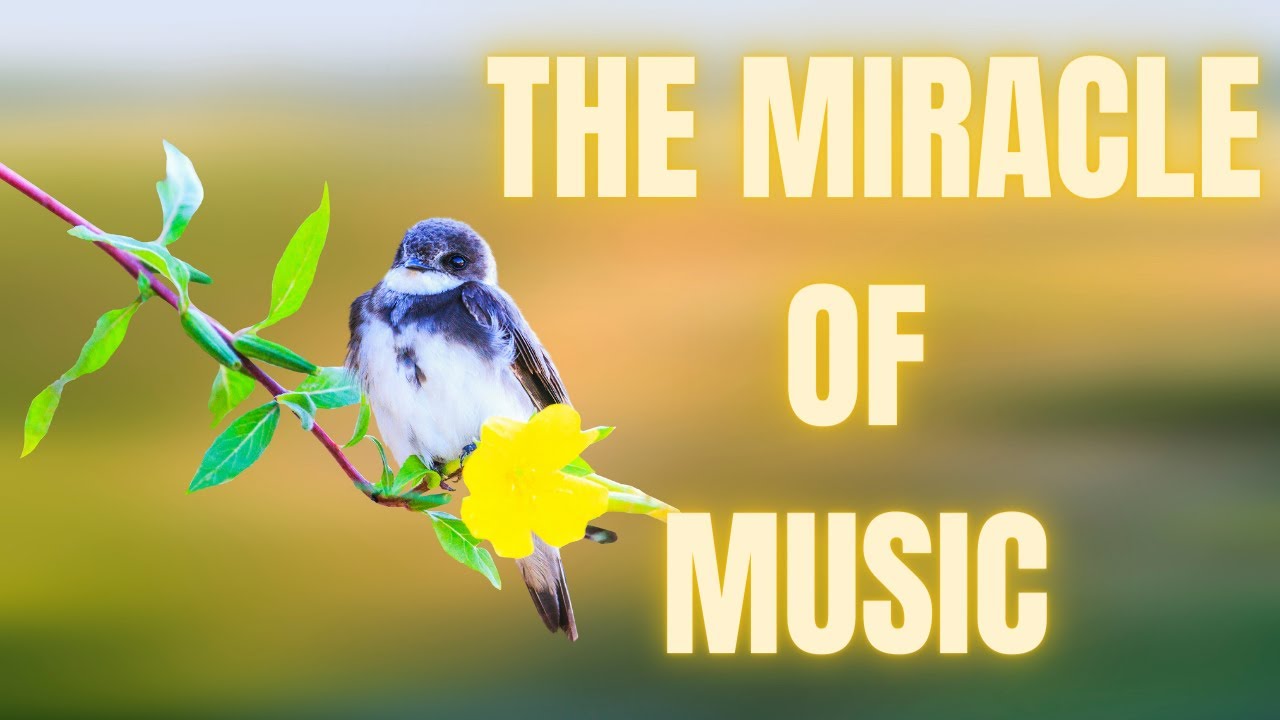 The Miracle of Music | Deep |Study |Sleeping - YouTube