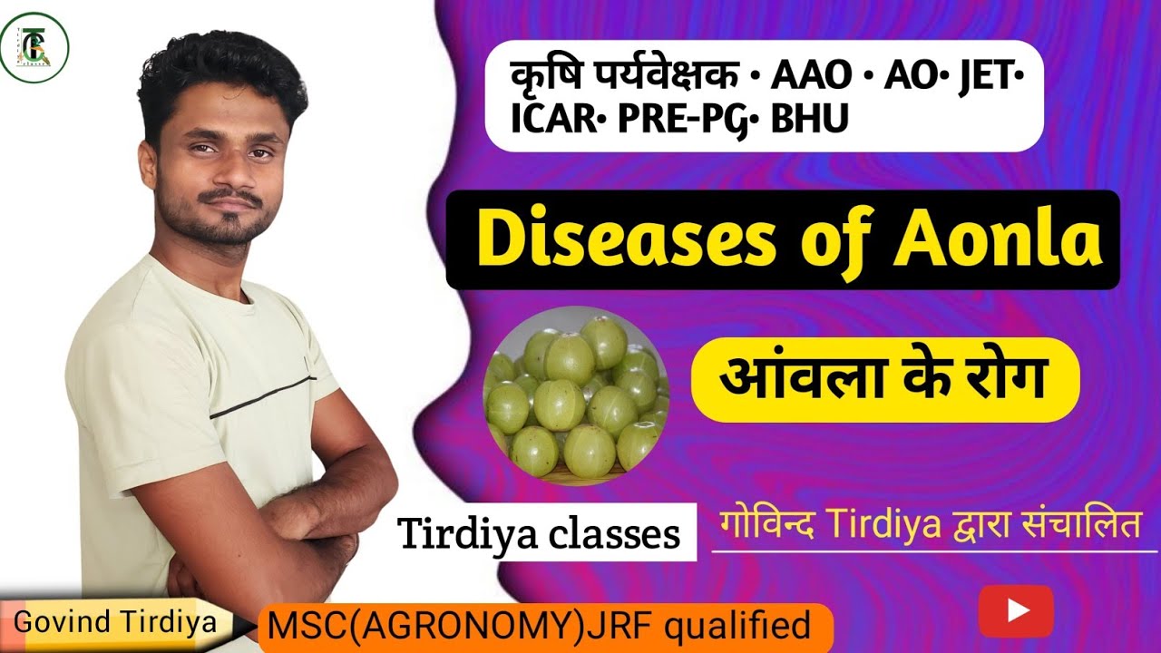 Diseases of Aonla ; Cause, Symptoms and management/आंवला के रोग ...