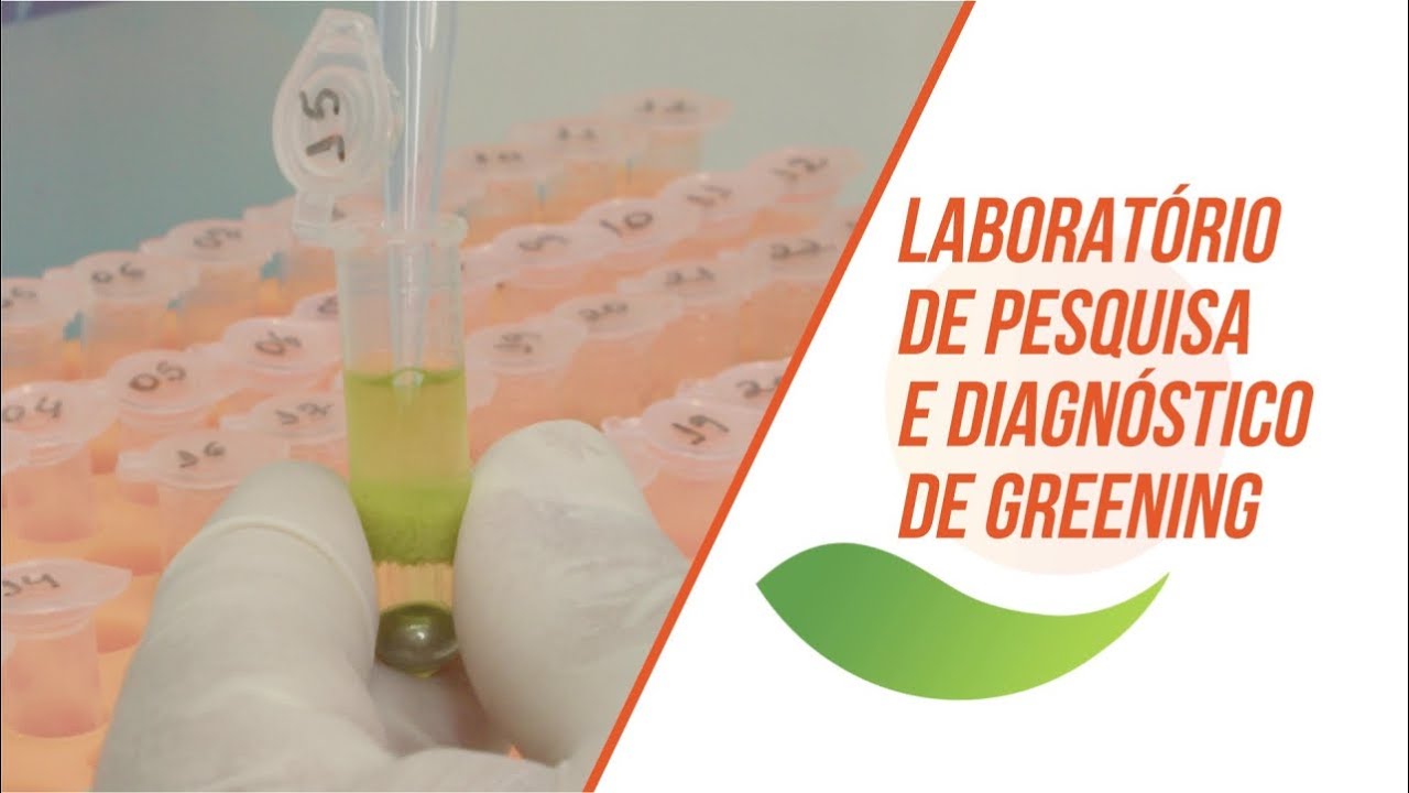 Laboratório de Pesquisa e Diagnóstico de Greening - YouTube