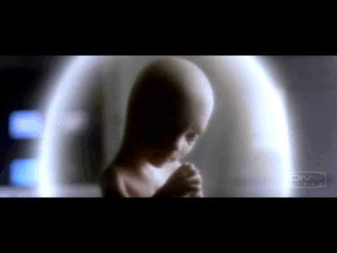 2010 - Dr. Dave Bowman - YouTube