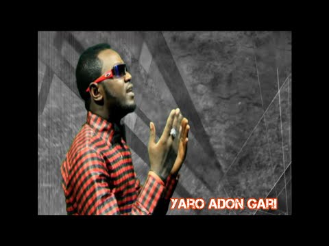 𝐀𝐝𝐚𝐦 𝐀. 𝐙𝐚𝐧𝐠𝐨_ Yaro adon gari (𝐎𝐟𝐟𝐢𝐜𝐢𝐚𝐥 𝐕𝐢𝐝𝐞𝐨)