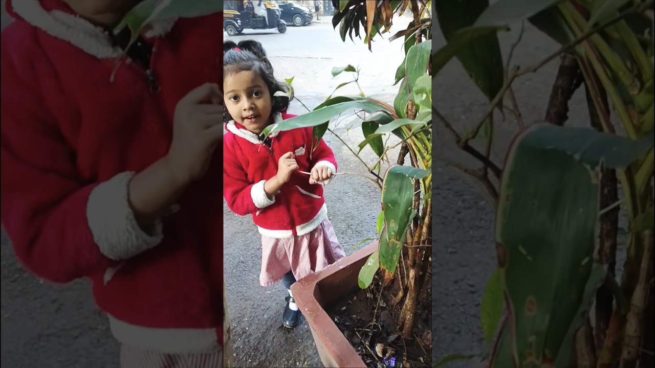 khila pilakar itna bada kiya isko gharpe le jaungi🥰😘 #cutebaby # ...