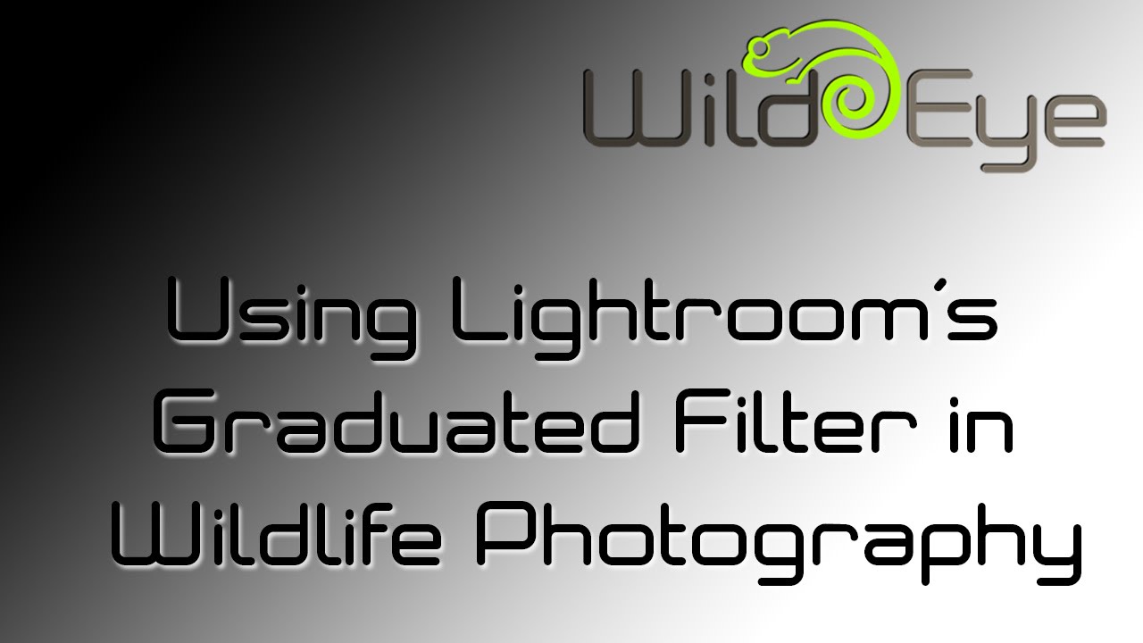 Wild Eye - Using Lightroom's Graduated Filter in Wildlife Photography ...