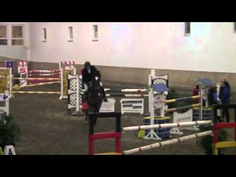 Tim Mielke Gepetto di Gral 17.03.2012 RV Giebelwald Stilspringprüfung M ...